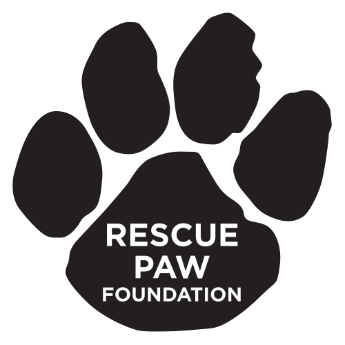 Support Rescue Paw Foundation and save precious lives. – Our Cause for ...